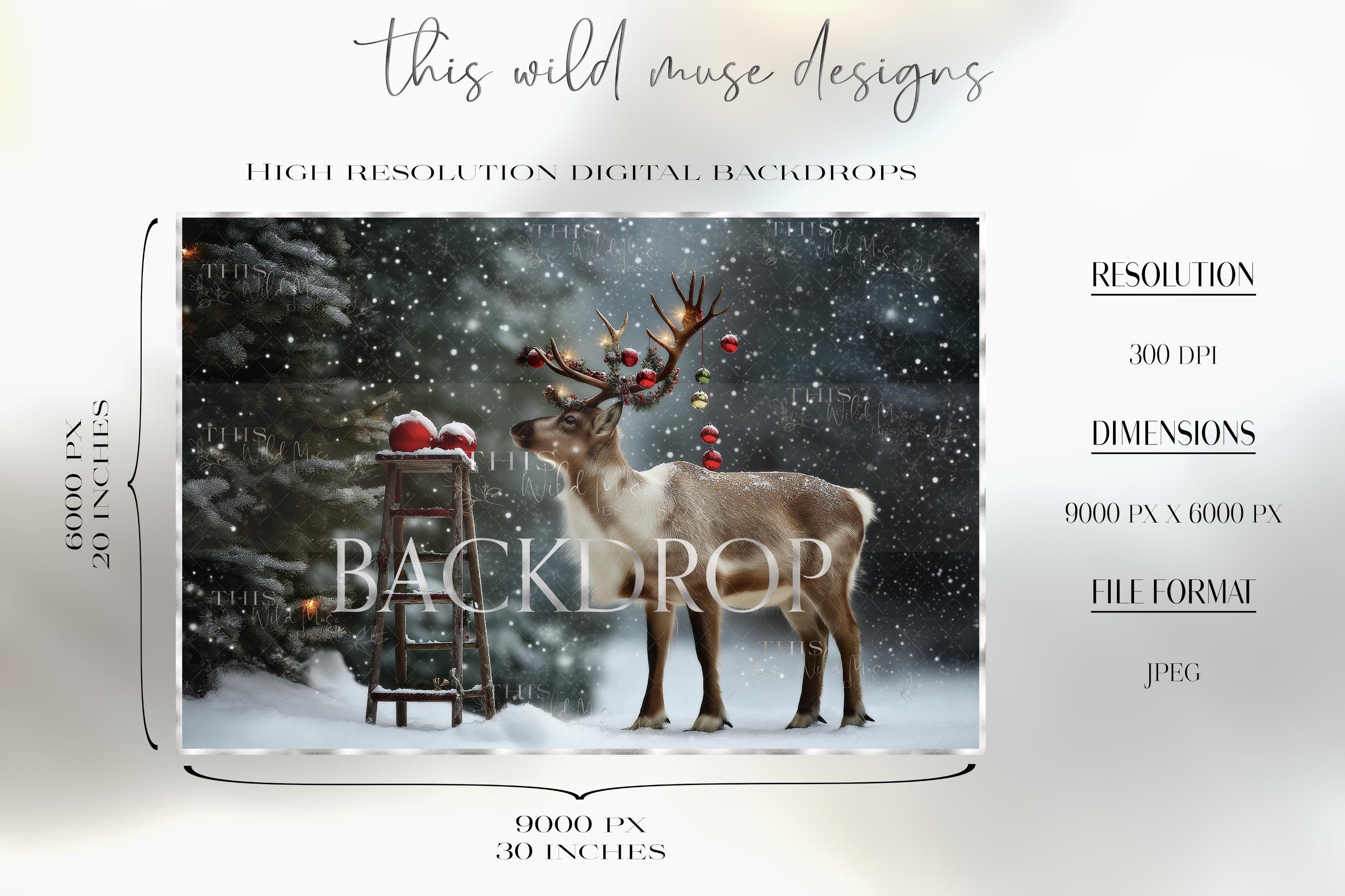 Christmas Reindeer Digital Background, Christmas Composite, Holiday ...