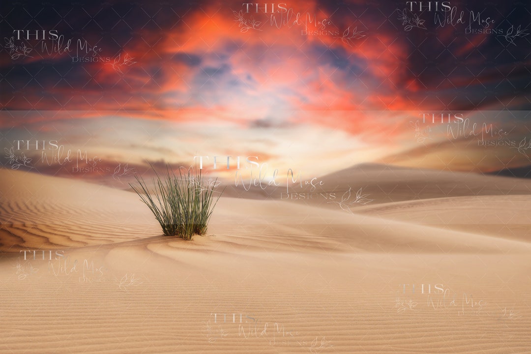 Dramatic Desert Digital Backdrop, Desert Sky Digital Background, Desert ...