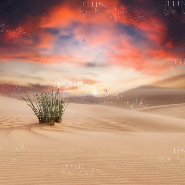Desert Digital - Etsy