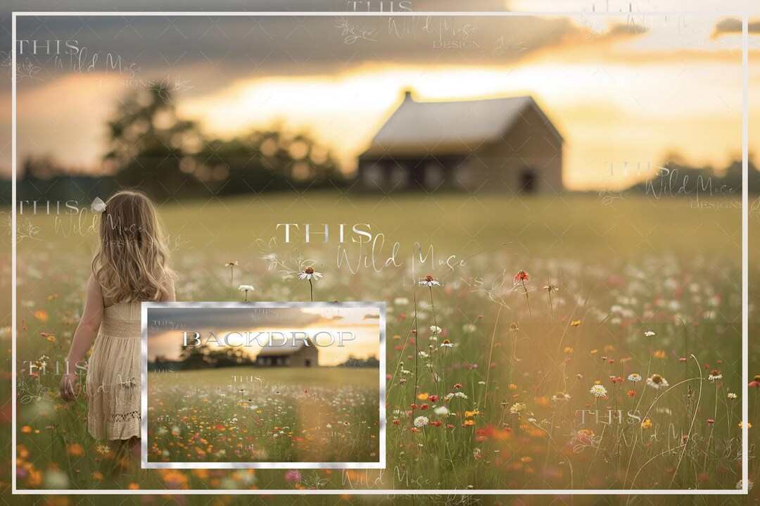 Rural Field Digital Background, Golden Field, Summer, Summer Skies ...