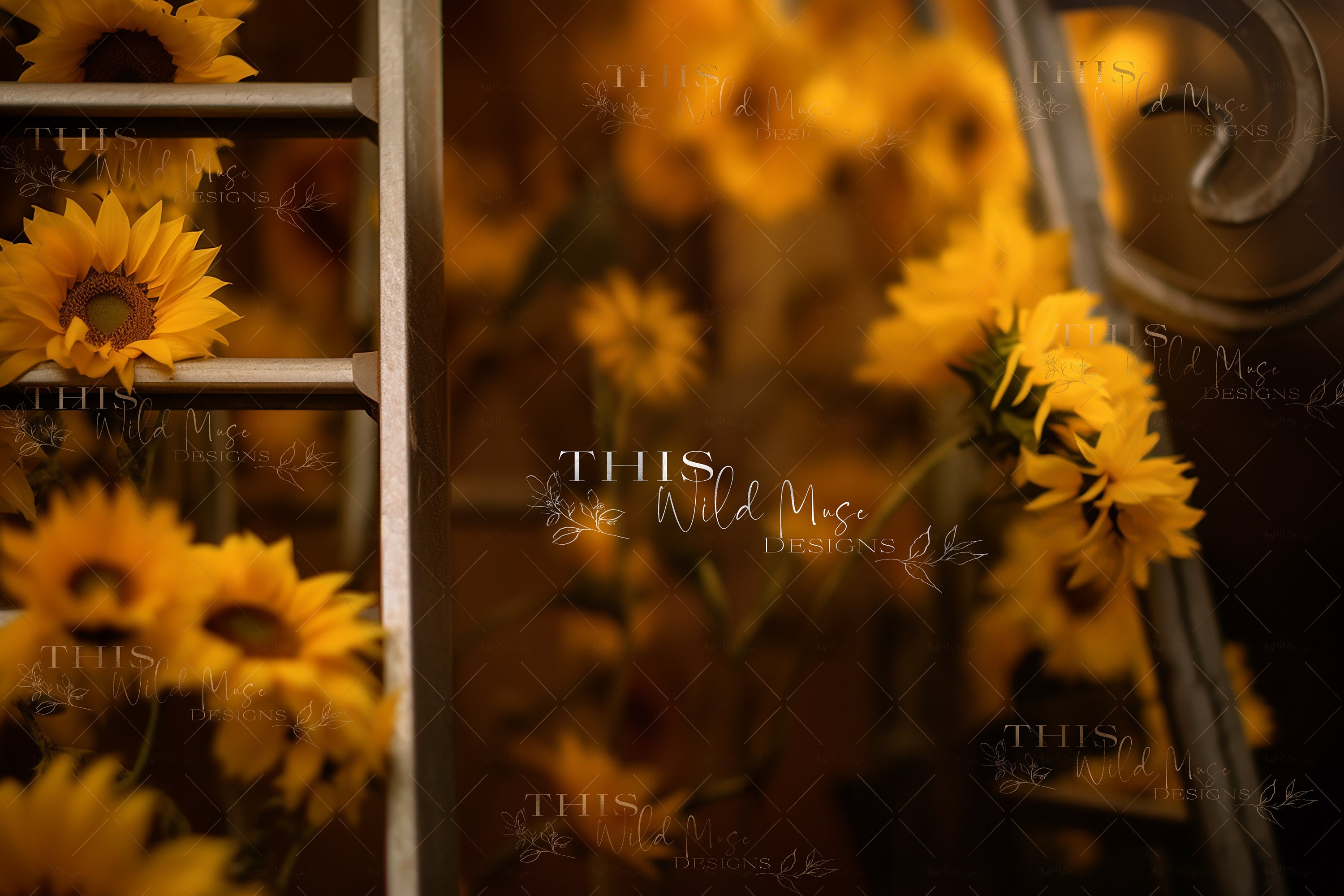 Sunflower Studio Digital Backdrop, Portrait Digital Background, Summer ...