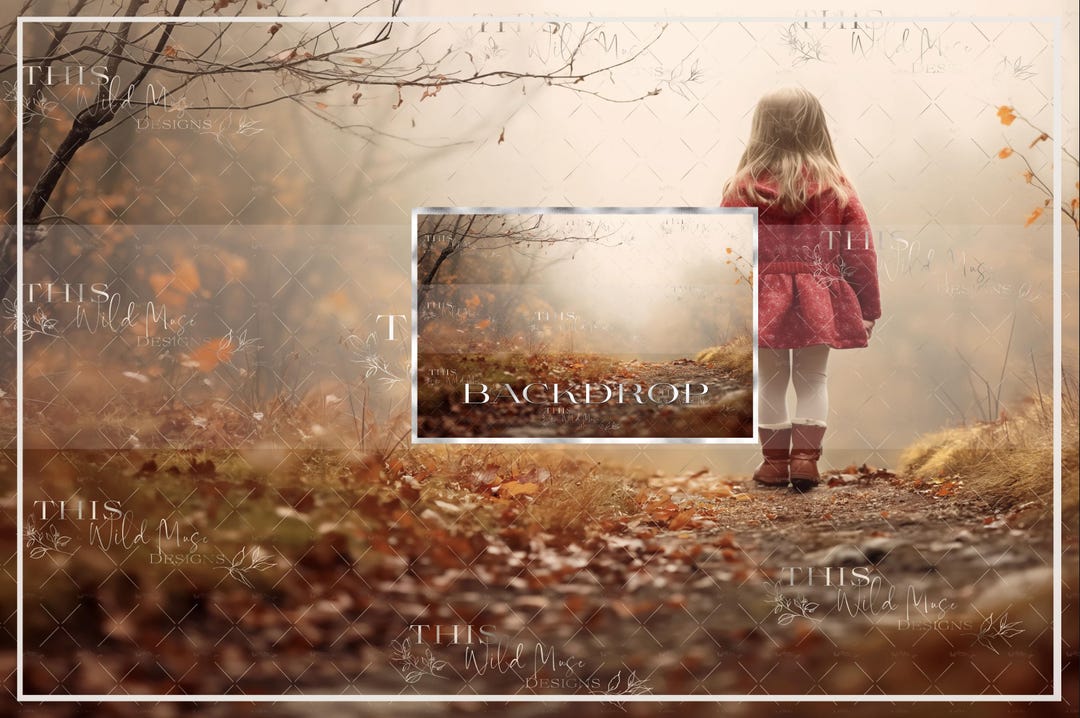 Foggy Fall Morning Digital Backdrop, Fall Nature Path, Fall Leaves ...