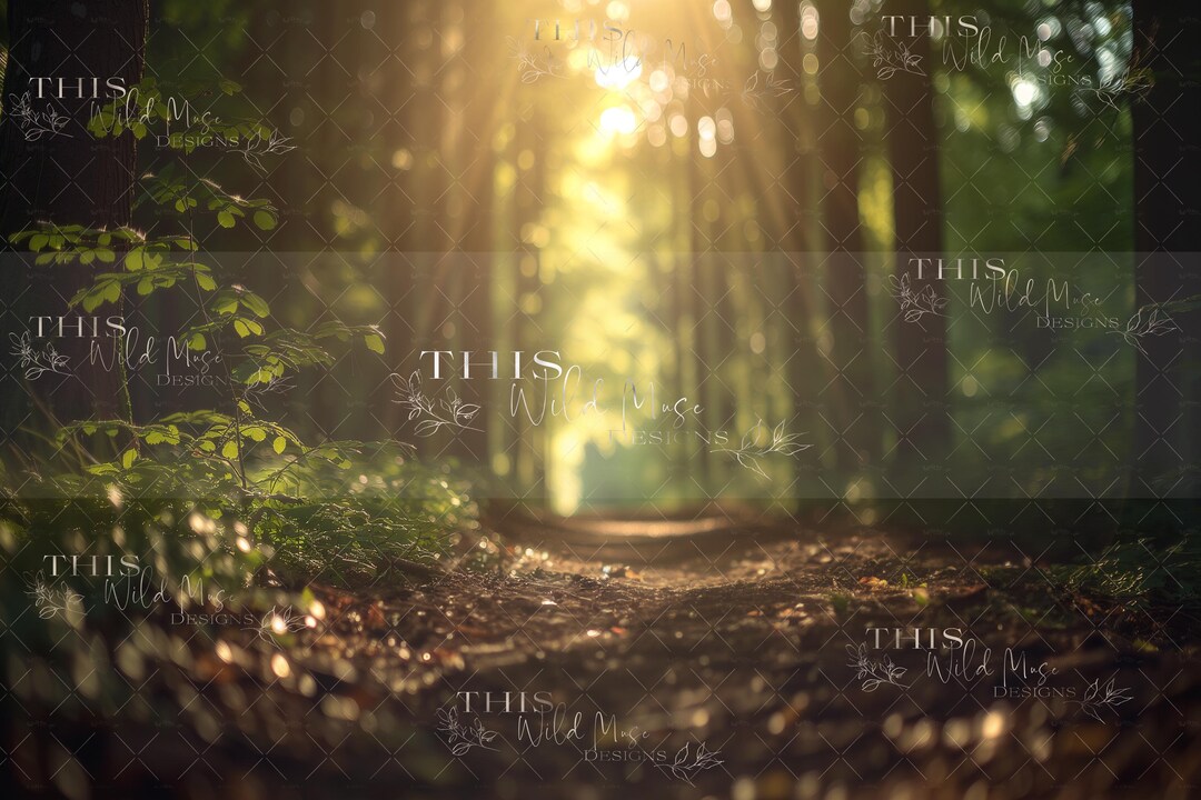 Forest Path Digital Backdrop, Golden Light, Woodland, Trees With a ...