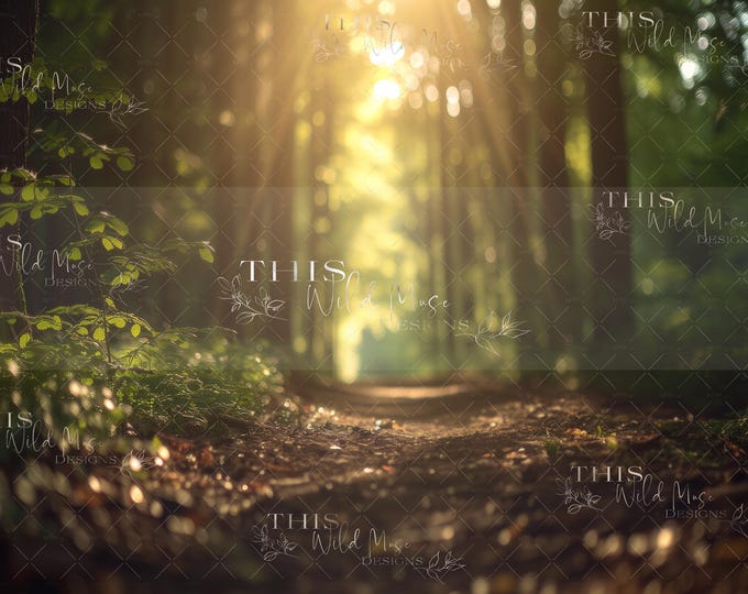 Forest Path Digital Backdrop, Golden Light, Woodland, Trees With a ...