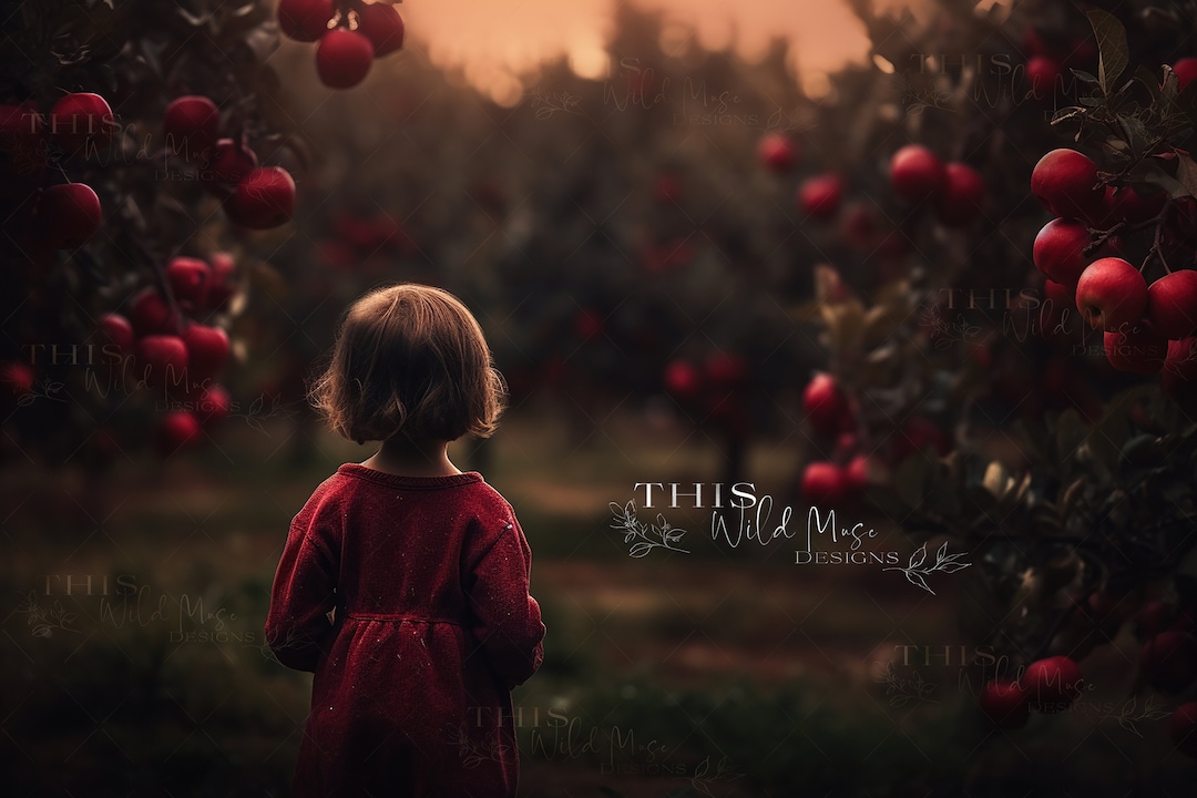 Apple Orchard Digital Backdrop, Apples, Apple Trees, Orchard, Dusk ...