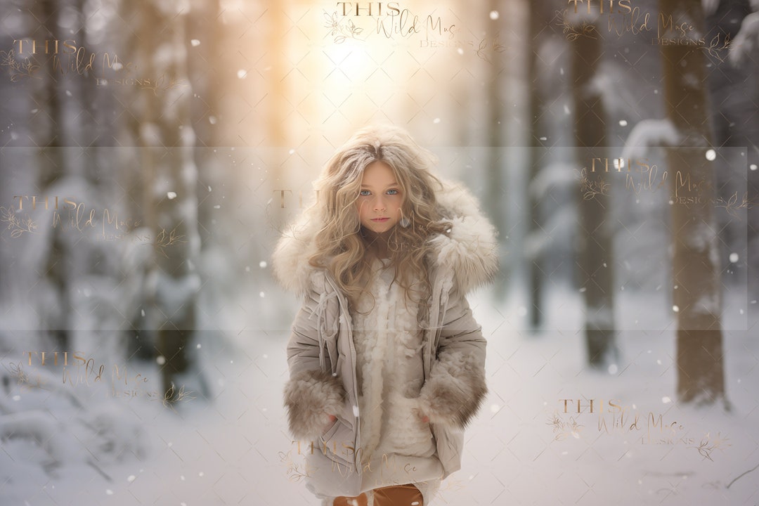 Snow Path Scene Digital Background, Winter, Snow, Snow Covered Trees ...