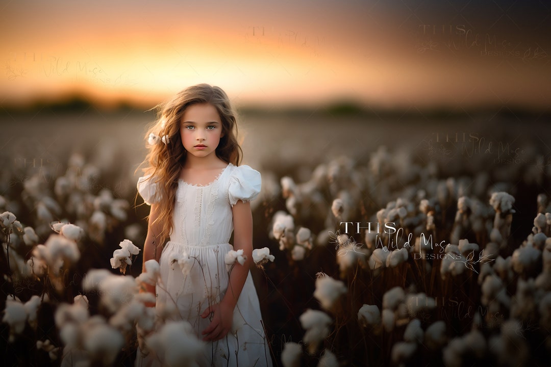 Summer Field Digital Backdrop, White Flower Field, Field Digital ...