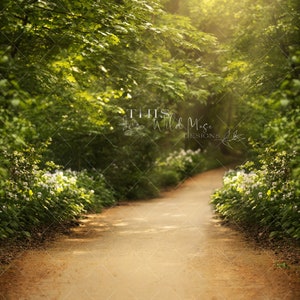 Natural Forest Path Digital Backdrop, Summer Forest, Path, Trees ...
