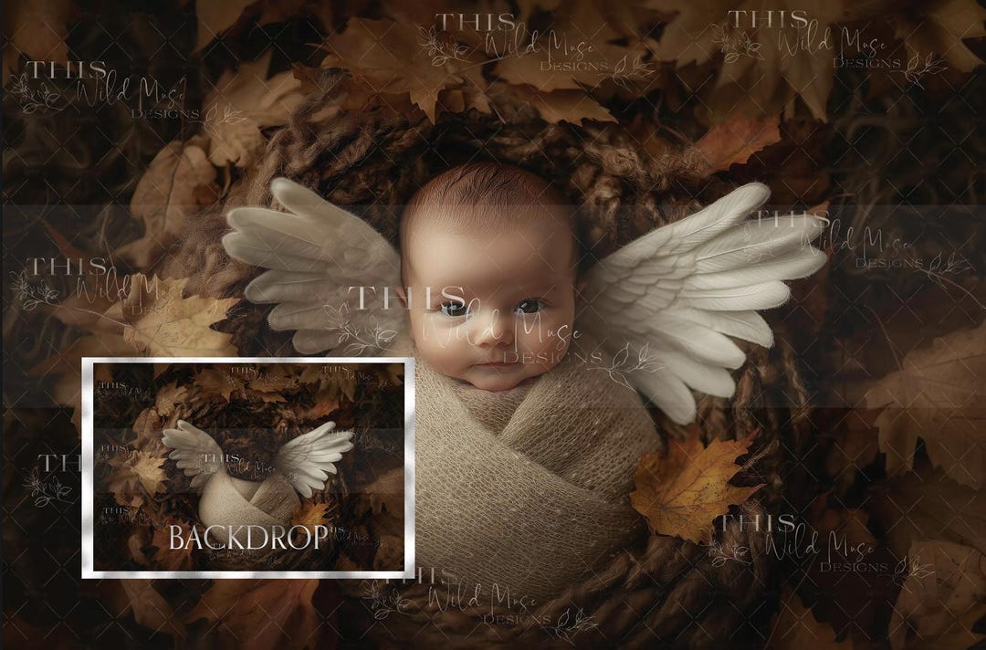 Angel Newborn Fall Digital Background, Top Down View, Newborn, Fall ...