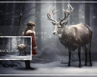 Christmas Backdrop, Winter Magic, Winter, Snowy Forest, Magical ...