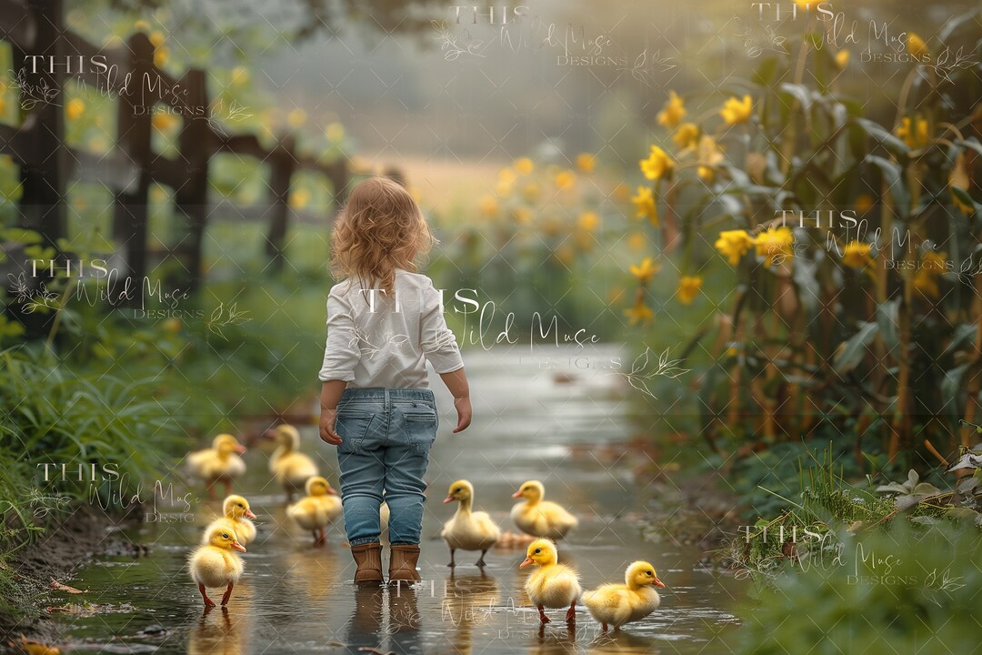 Farm Ducks Digital Backdrop, Spring Digital, Rainy Day Pond, Farm Field ...