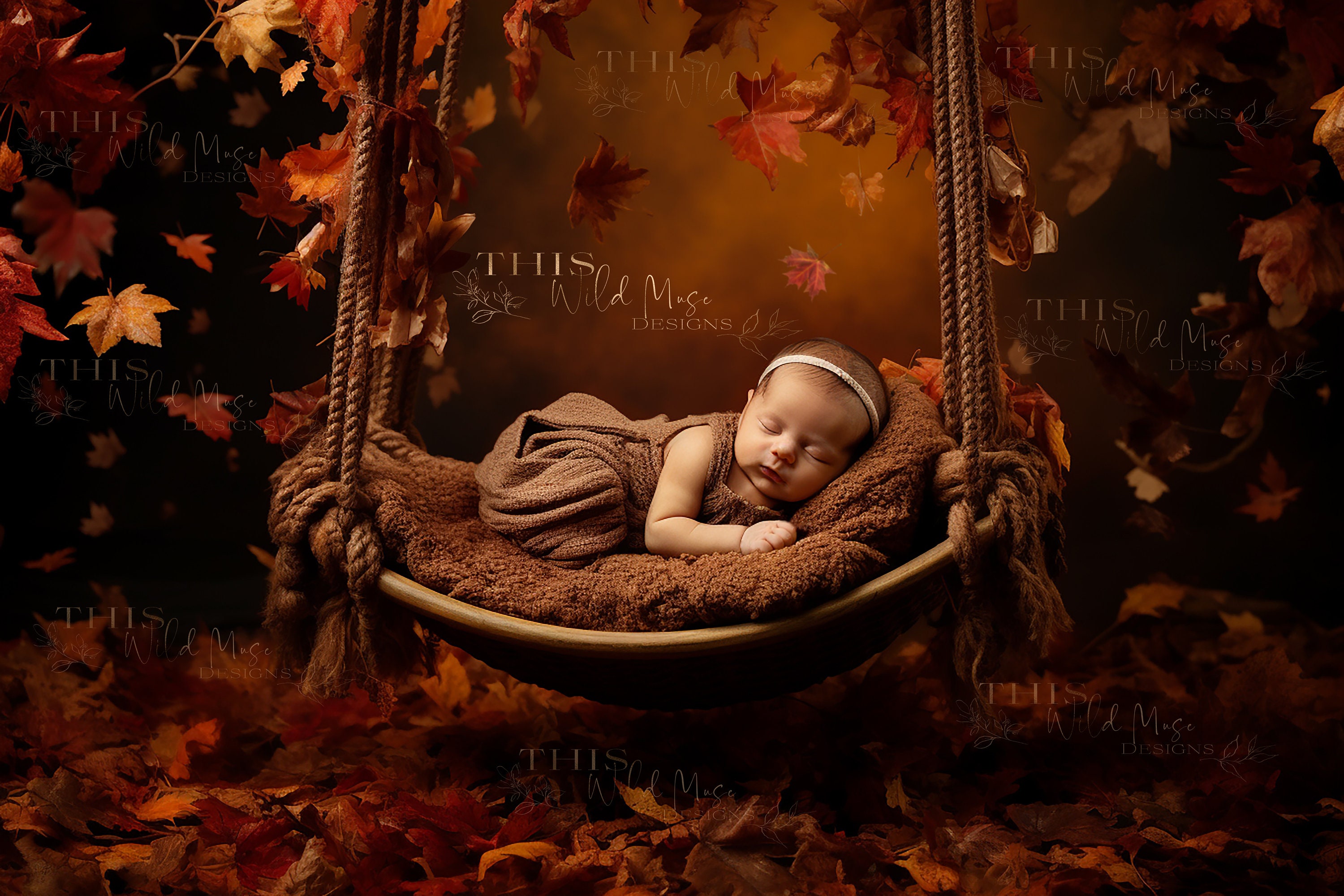 Fall Baby Photography