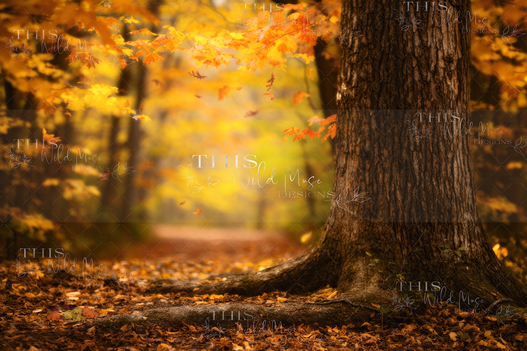 Fall Digital Backdrop, Autumn Leaves, Fall Digital Background, Fall ...
