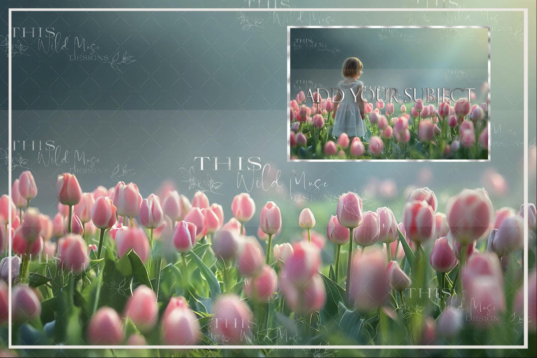 Tulip Field Digital Backdrop, Spring Tulips Background, Spring Digital ...