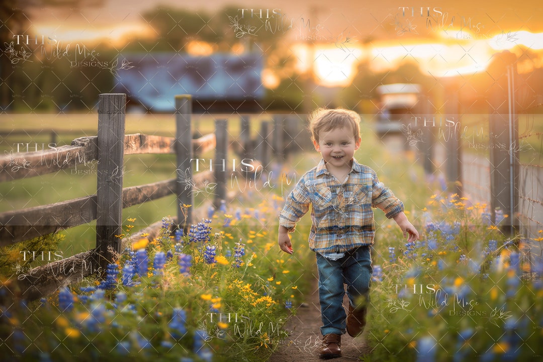 Summer Fence Digital Background, Summer Field Path, Summer Digital ...