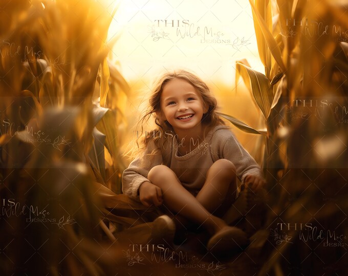 CORNFIELD SKY Vinyl Backdrop Photography Vinyl Backdrop Landscape ...