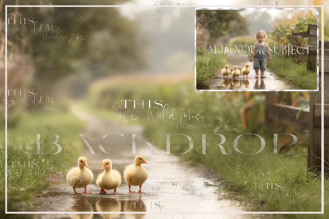 Farm Ducks Digital Backdrop, Spring Digital, Rainy Day Pond, Farm Field ...