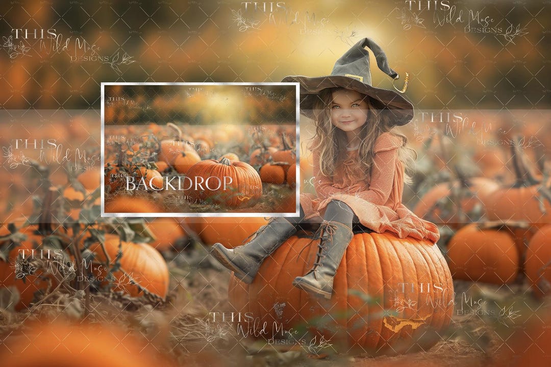 Pumpkin Patch Digital Backdrop, Cute Halloween Pumpkin Field, Pumpkins, Fall Field, Halloween ...