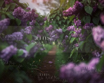 Digital Backdrop Lilac - Etsy