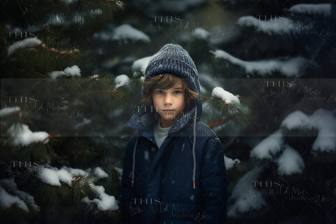 Snowy Winter Portrait Digital Backdrop, Snowy Pine Trees, Snow, Winter ...