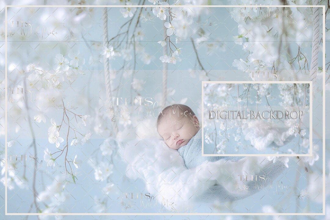 Newborn Digital Backdrop, Soft & Airy Swing, Pastel Blue, Flowers ...