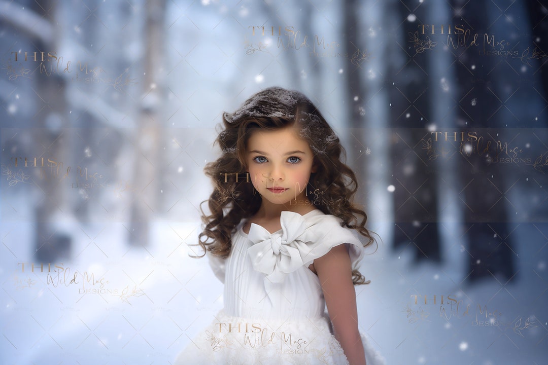 Snowy Winter Portrait Digital Backdrop, Snow Path, Snow, Winter ...