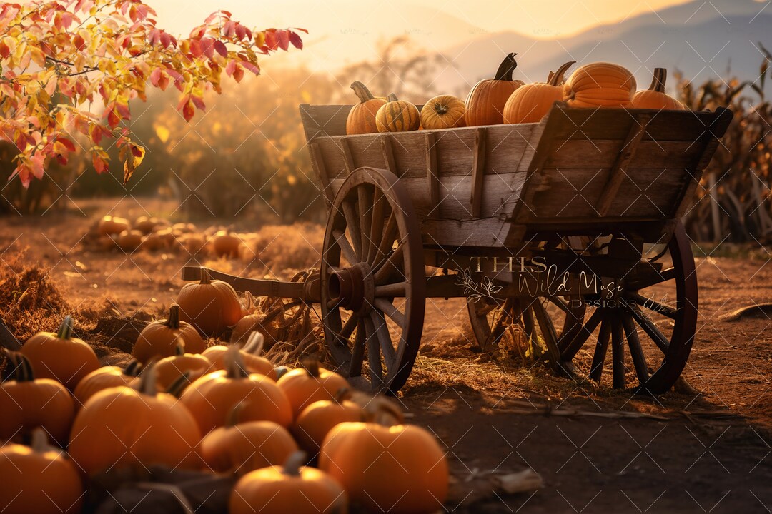 Pumpkin Patch, Wooden Cart, Autumn, Fall, Digital Background, Creative ...