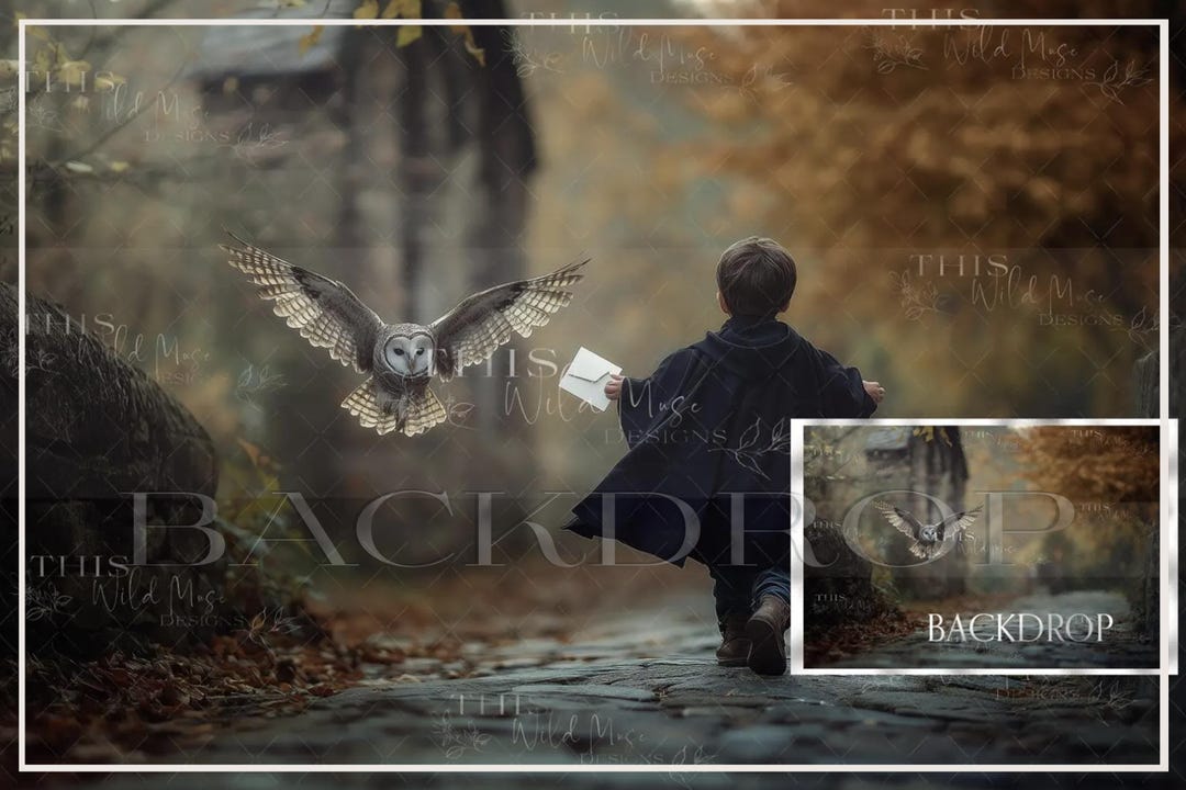 Wizard Magic Digital Backdrop, Wizard Mail Delivery, Owl, Wizard Magic ...
