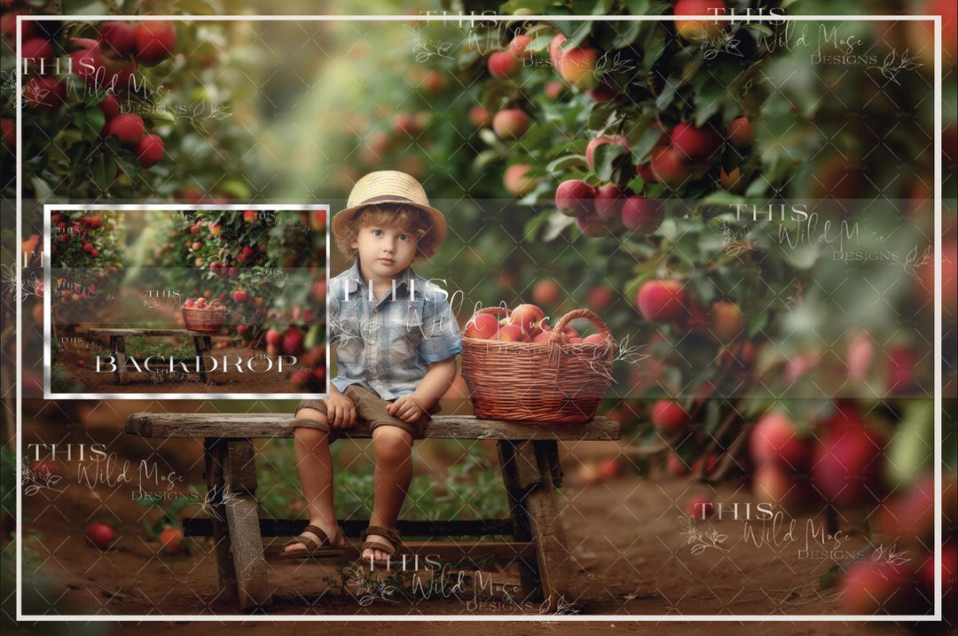 Apple Orchard Digital Background, Apples, Rustic Bench, Fine Art ...