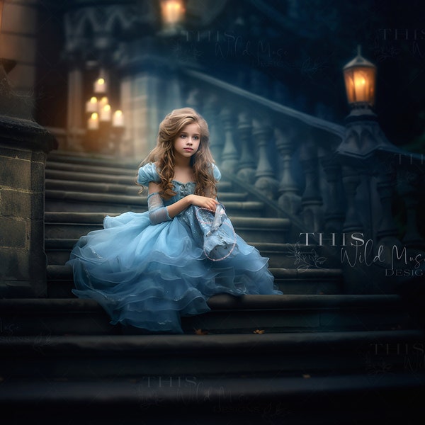 Cinderella Backdrop - Etsy