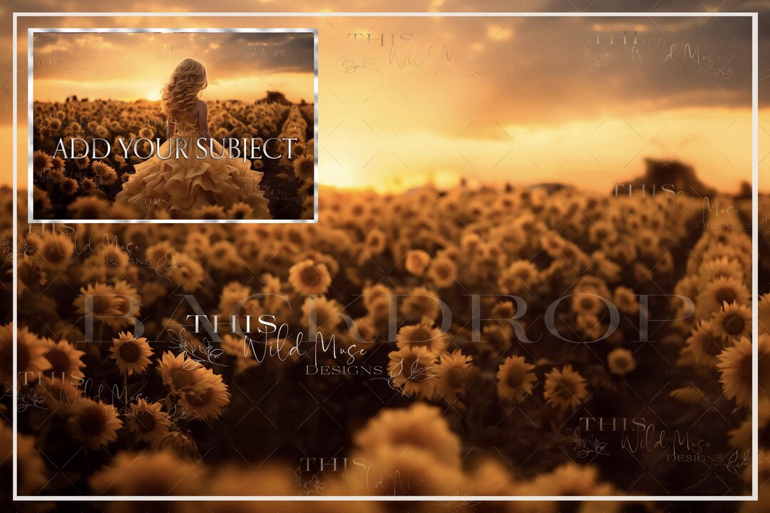 Sunflower Field Digital Backdrop, Portrait Digital Background, Summer ...