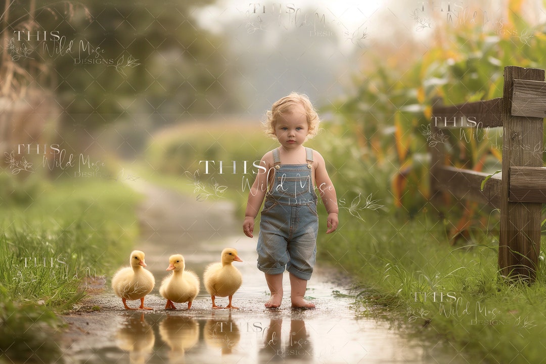 Farm Ducks Digital Backdrop, Spring Digital, Rainy Day Pond, Farm Field ...