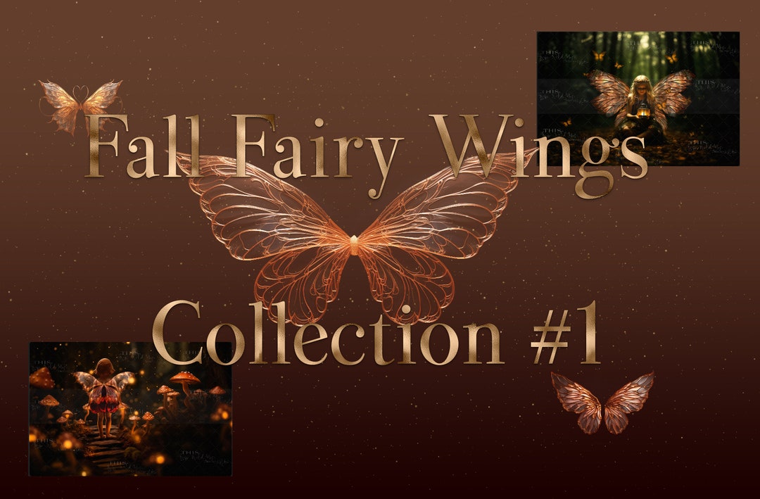 12 Fall Fairy Wings Digital Overlays, Fall Fairy Wings, Fairy Wings ...