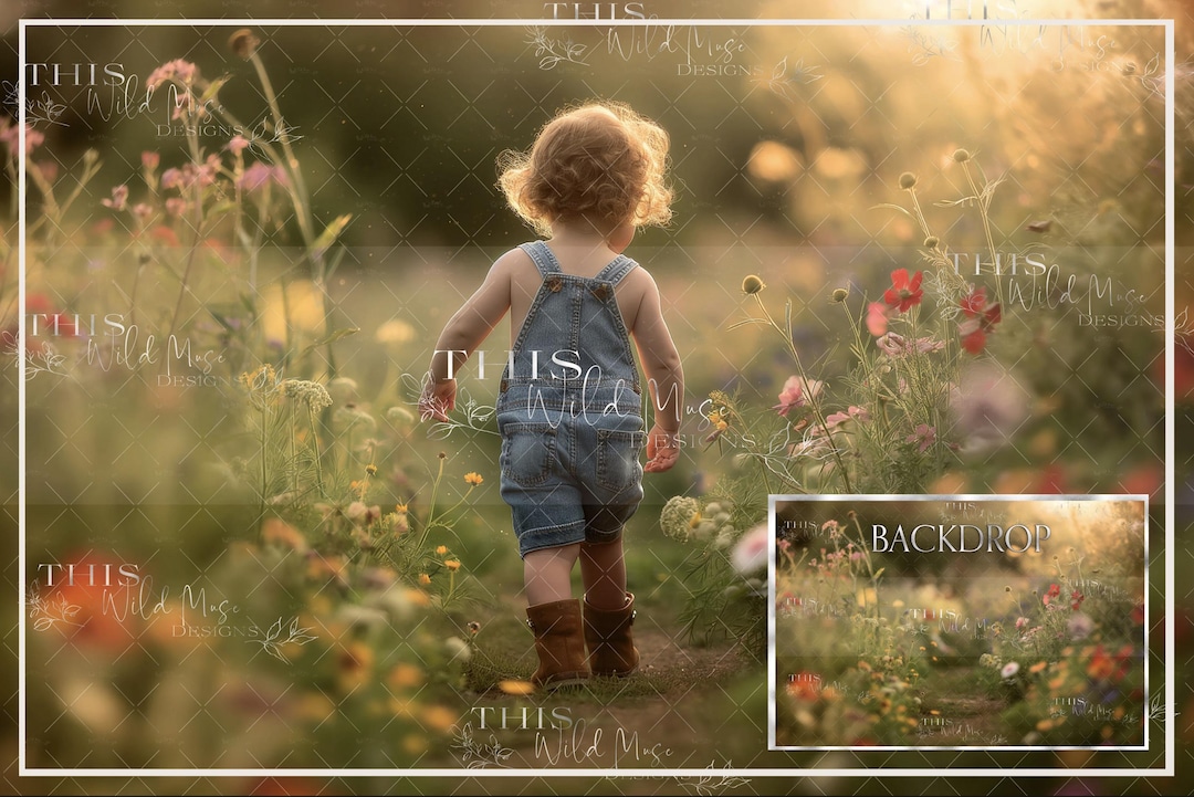 Summer Wildflower Field Digital Background, Wildflowers, Summer Flowers ...
