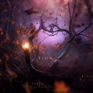 Witchy Woods Digital Backdrop, Halloween Digital Backdrop, Halloween ...