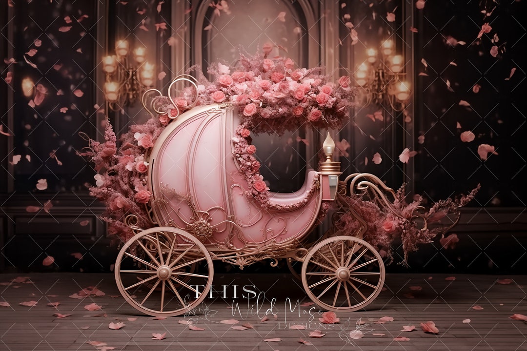 4 Pink Princess Carriage Studio Digital Backgrounds, Princess, Carriage ...