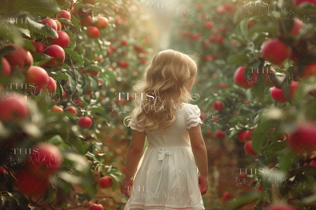 Apple Orchard Digital Background, Apples, Trees, Summer Background for ...