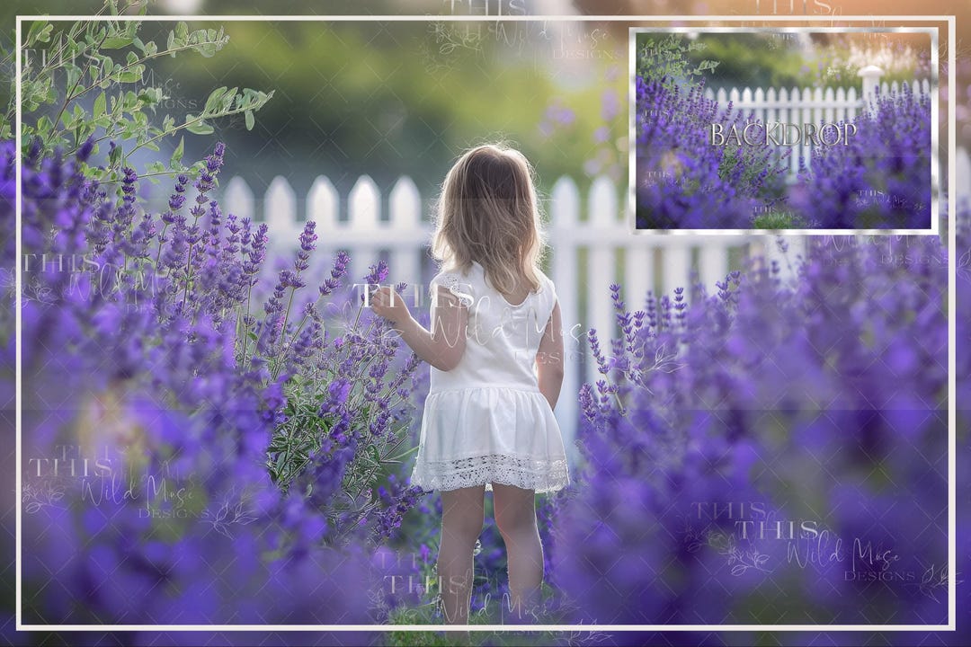 White Picket Fence Digital Backdrop, White Fence, Spring, Summer ...