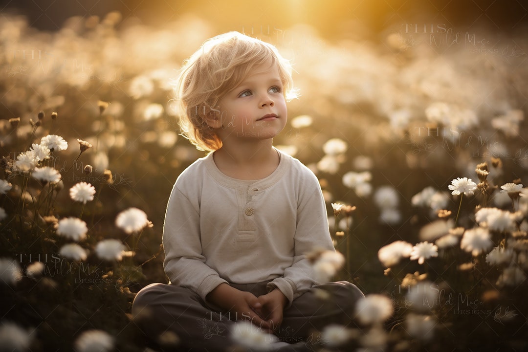 Wildflower Field Digital Backdrop, Summer Digital Background, Field ...