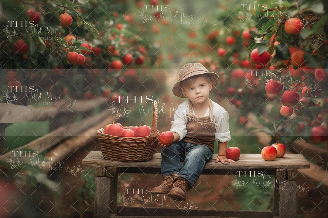 Apple Orchard Digital Backdrop, Apples, Apple Orchard, Fine Art ...