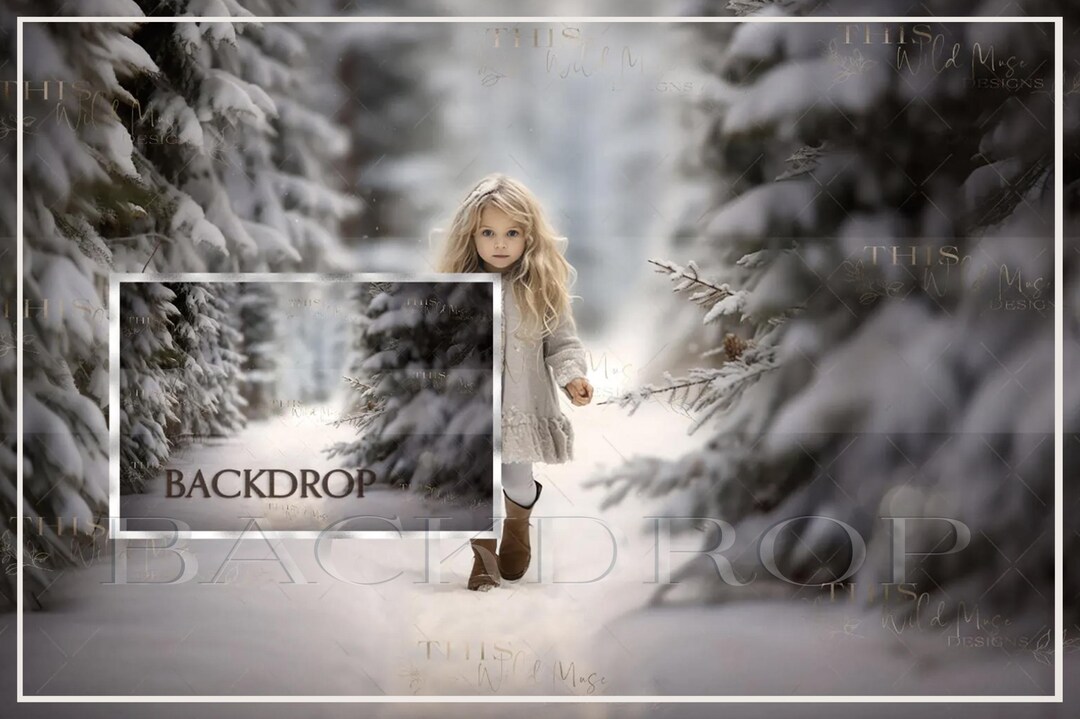 Snow Path Scene Digital Background, Winter, Snow, Snow Covered Trees ...