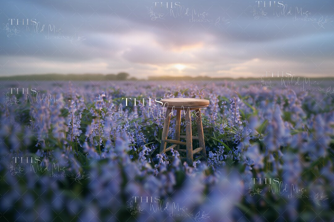 Bluebell Field Digital Backdrops, Wood Stool, Purple Flowers, Spring ...