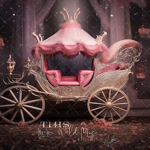4 Pink Princess Carriage Studio Digital Backgrounds, Princess, Carriage ...