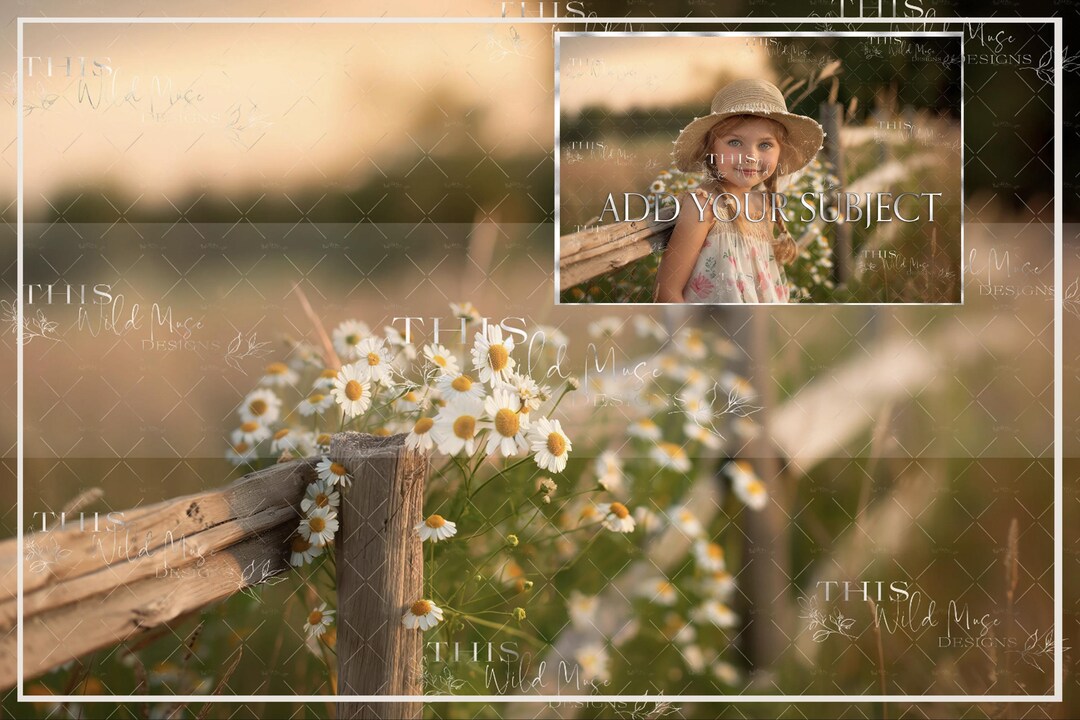 Field Fence Digital Background, Summer Field, Summer Digital Backdrop ...