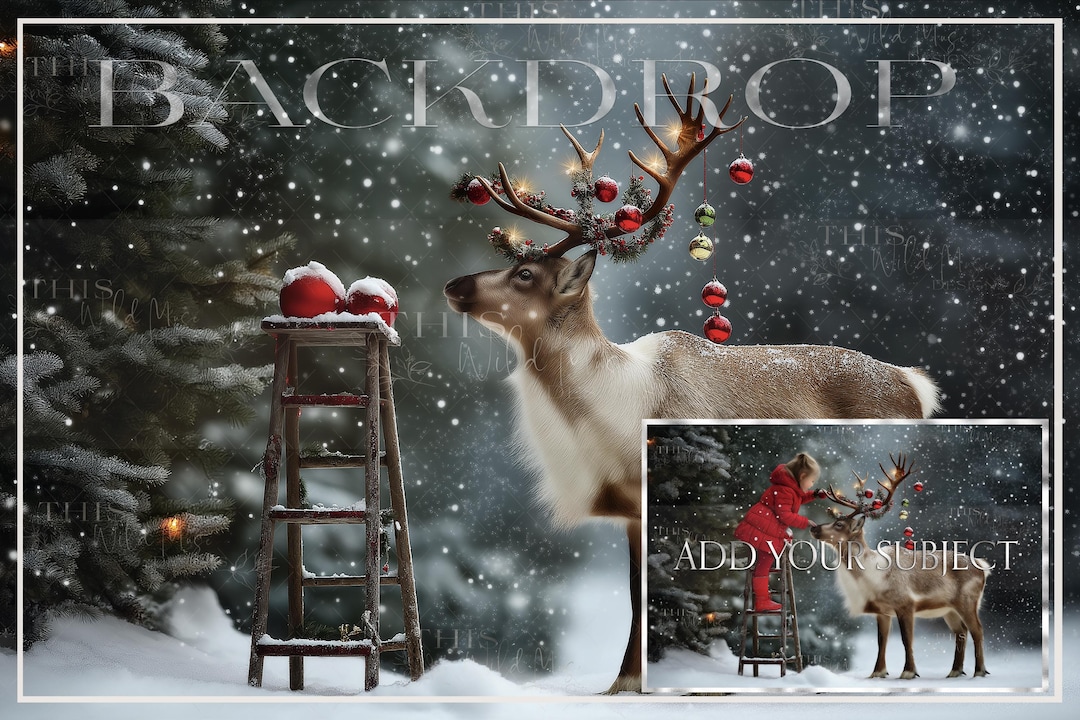 Christmas Reindeer Digital Background, Christmas Composite, Holiday ...