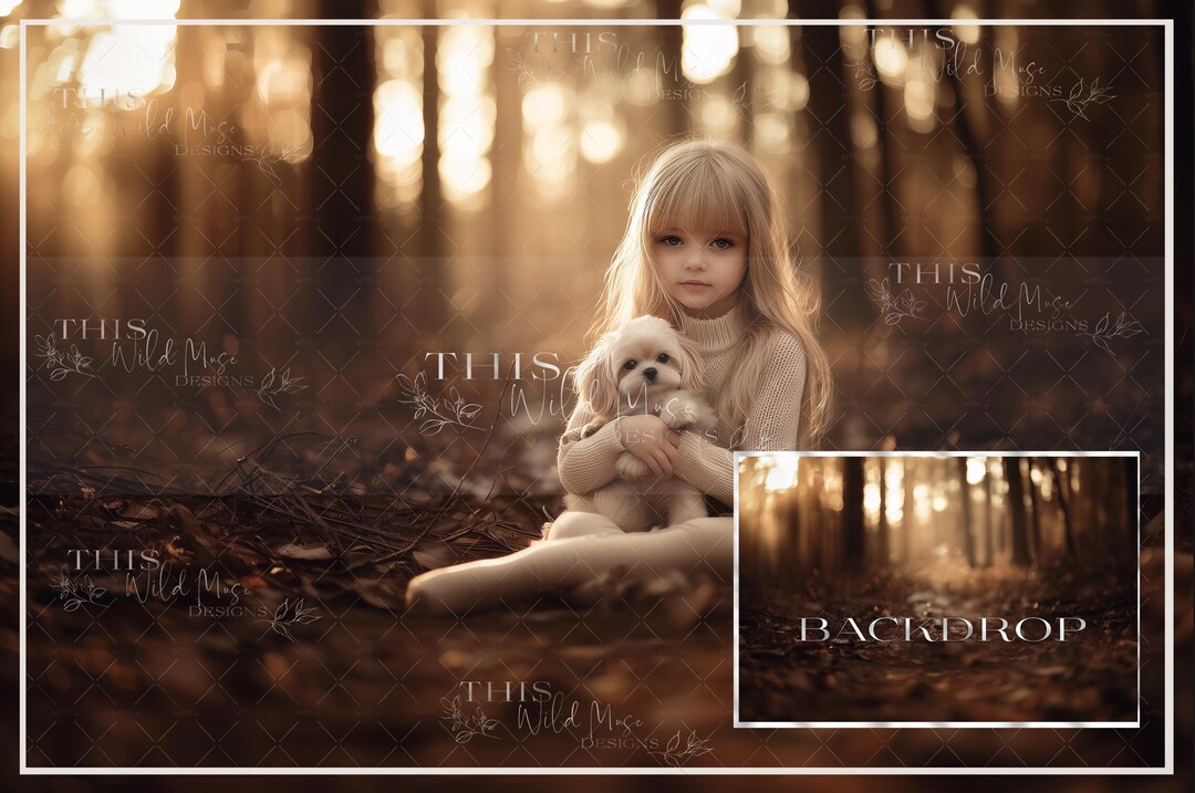Golden Backlit Fall Digital Background for Creative Composites, Fall ...