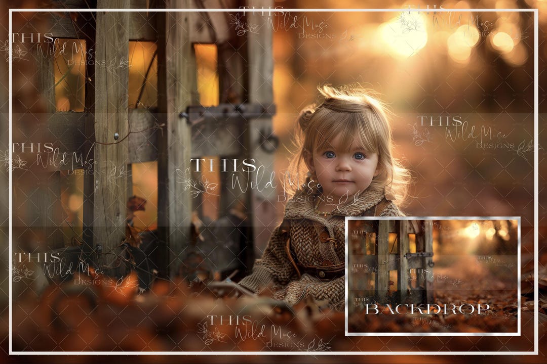 Vibrant Fall Digital Background, Autumn, Fall Tones, Autumn Light, Fall ...