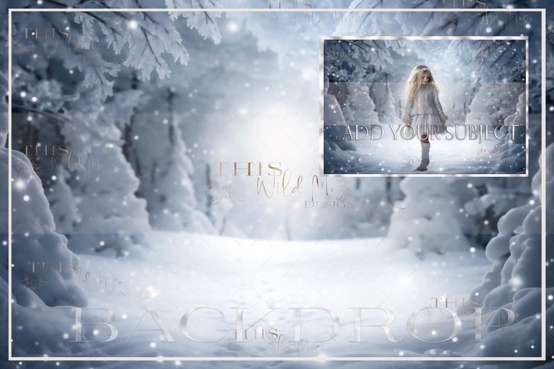 Snow Path Scene Digital Background, Winter, Snow, Snow Covered Trees ...