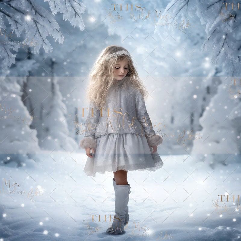Winter Digital Backdrop - Etsy