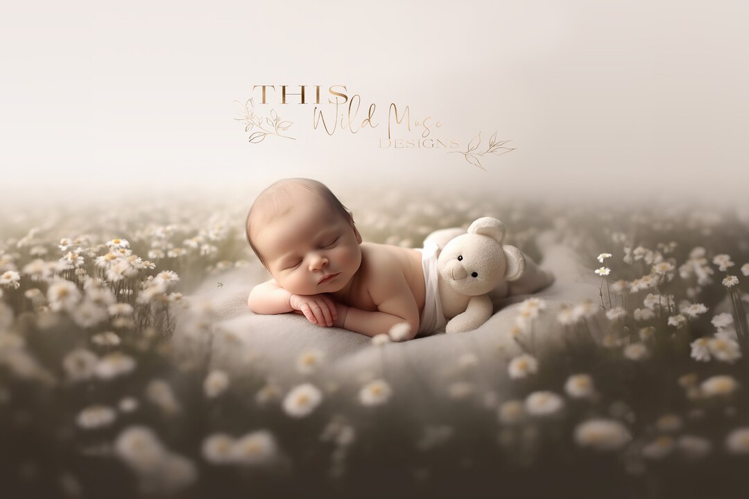 Newborn Digital Backdrop, Soft Flower Field Digital Background, Newborn ...